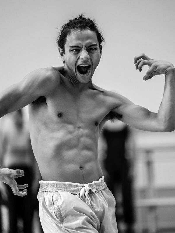 Digital program book 'Now here, Now always'