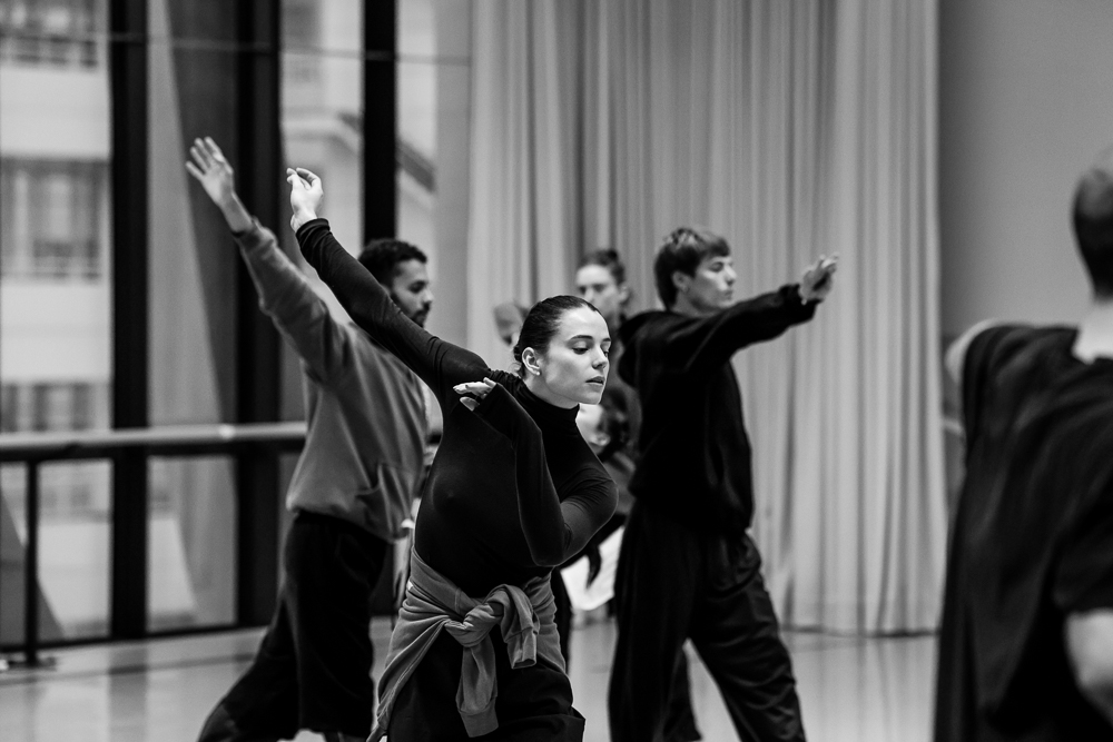 Online programme book Wildsong